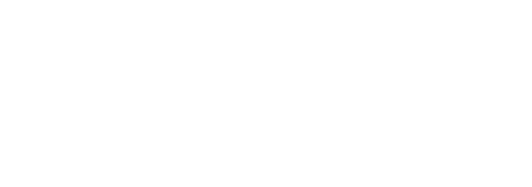 Carrier Network - VP Logistics